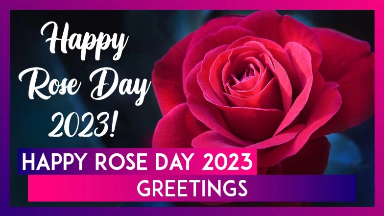 Happy Rose Day 2023 Greetings, Lovely Messages, Quotes About Love and ...