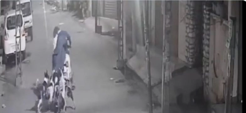 Dog Attack Video: CCTV Camera Captures Two Men's Narrow Escape After ...