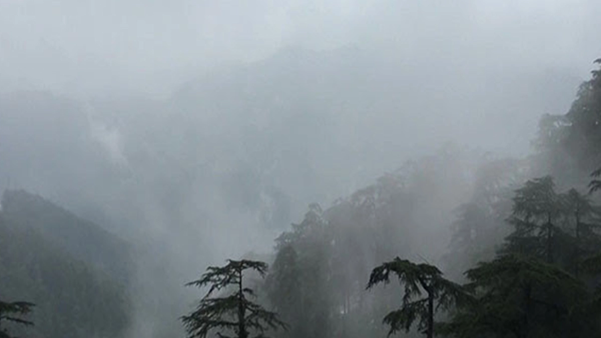 Agency News | Orange Alert Issued Following Continuous Rainfall in ...