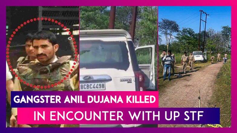 Anil Dujana Killed Uttar Pradesh Gangster Out On Bail In Murder Case