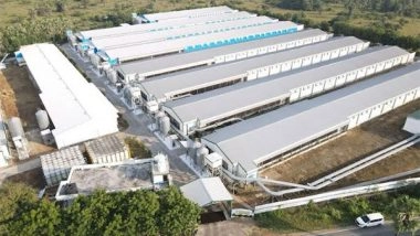 Business News | OVO Farm is Revolutionising the Egg Industry by Using ...