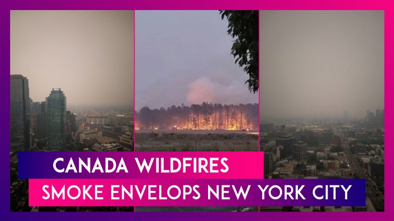 Canada Wildfires: Smoke Envelops New York City And Other Places Due To ...