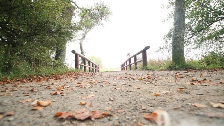 US Walkway Collapse: Elevated Walkway Collapses at Beach Park in Texas ...