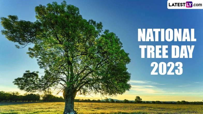 National Tree Day 2023 Date, History and Significance: Everything To ...