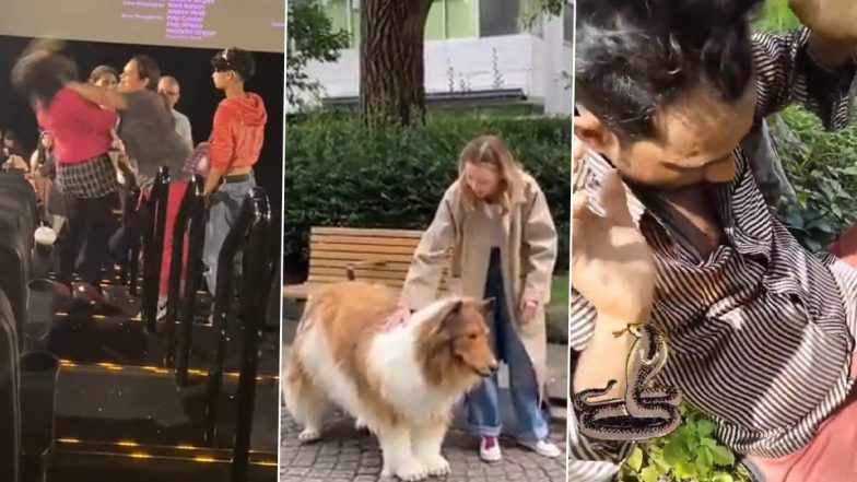 Trending Videos Online: From Cobra in Man’s Shirt To Brawl During ...