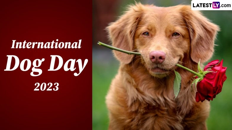 International Dog Day 2023 Date: Know History And Significance Of The ...