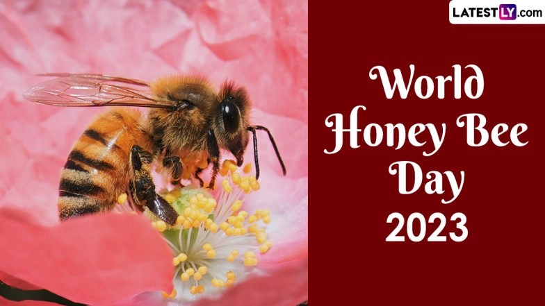When is World Honey Bee Day 2023? Know Date And Significance Of The Day ...