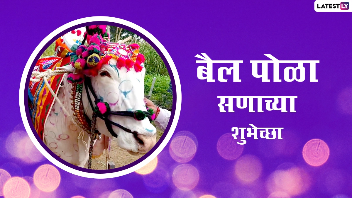 Pola 2023 Images & HD Wallpapers for Free Download Online: Wish Happy Bail Pola With WhatsApp ...