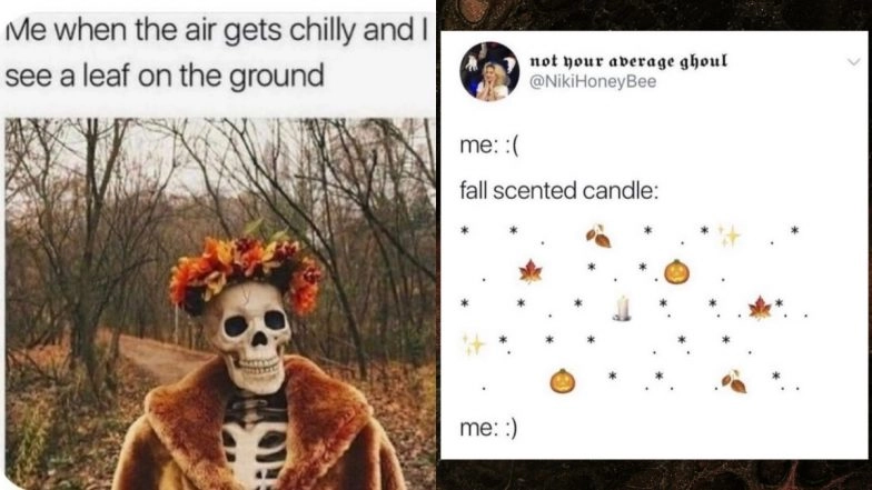Fall Season 2023 Memes & Jokes: Beyond Pumpkin Spice Lattes & Leaves ...