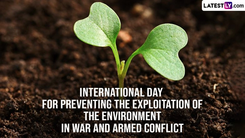 International Day for Preventing the Exploitation of the Environment in ...