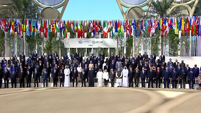 COP28 Summit 2023: Climate Change Impacting Migratory Animals, Says UN ...