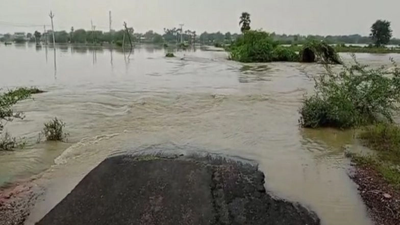Cyclone Michaung Update: Heavy Damage to Crops in Andhra Pradesh’s NTR District Due to Cyclonic ...