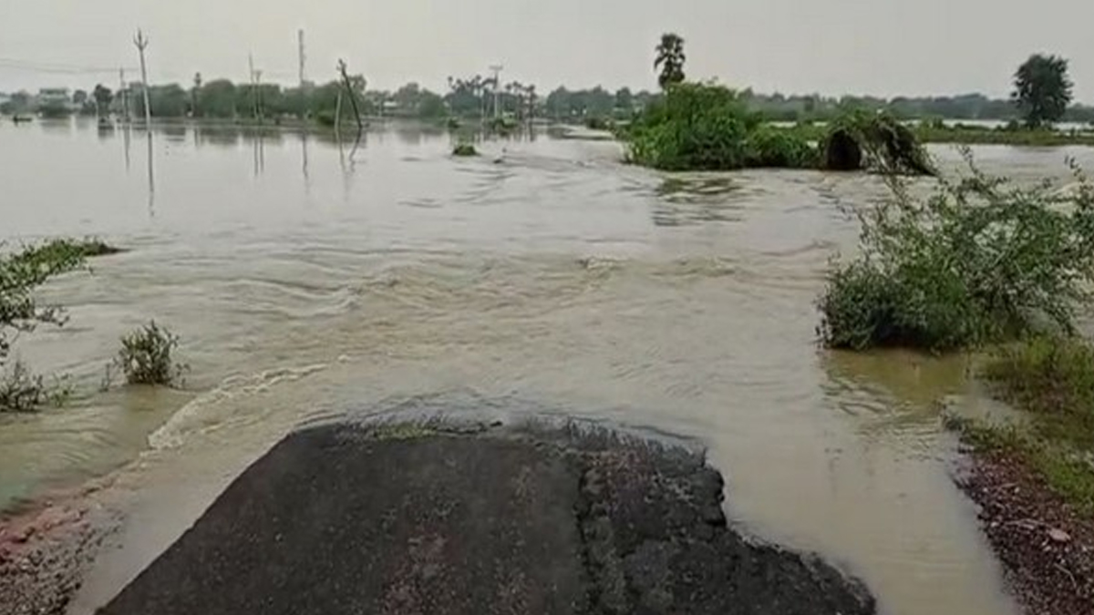 Agency News | Andhra Pradesh: Heavy Damage to Crops in NTR District Due ...