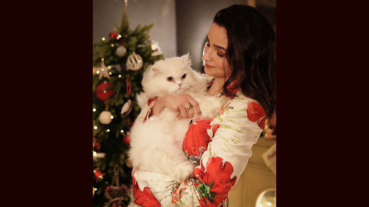 Alia Bhatt Spreads Festive Cheer With a ‘Meowy Christmas’ Photo on ...
