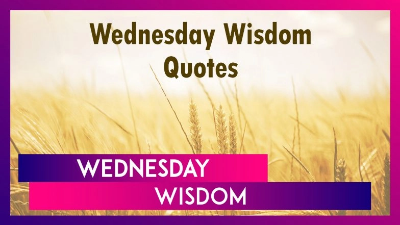 Wednesday Wisdom: Quotes And Messages To Beat The Mid-Week Blues | 📹 ...