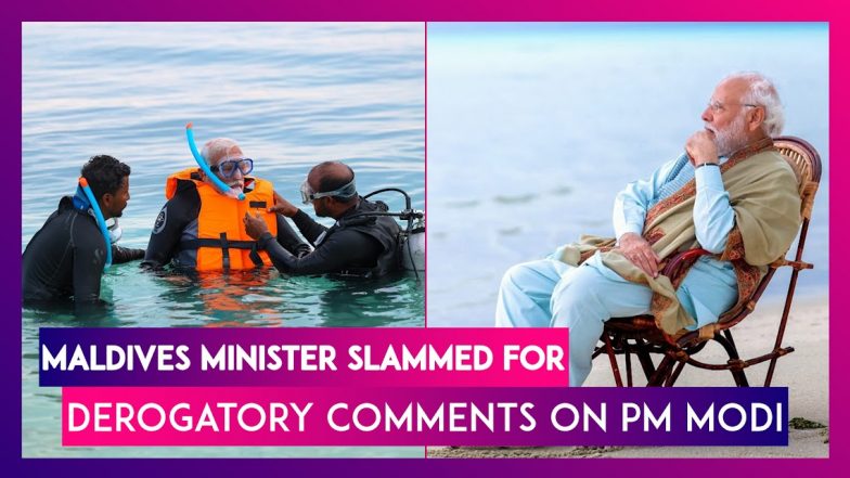 Maldives Minister Makes Derogatory Comments On PM Narendra Modi, Gets ...
