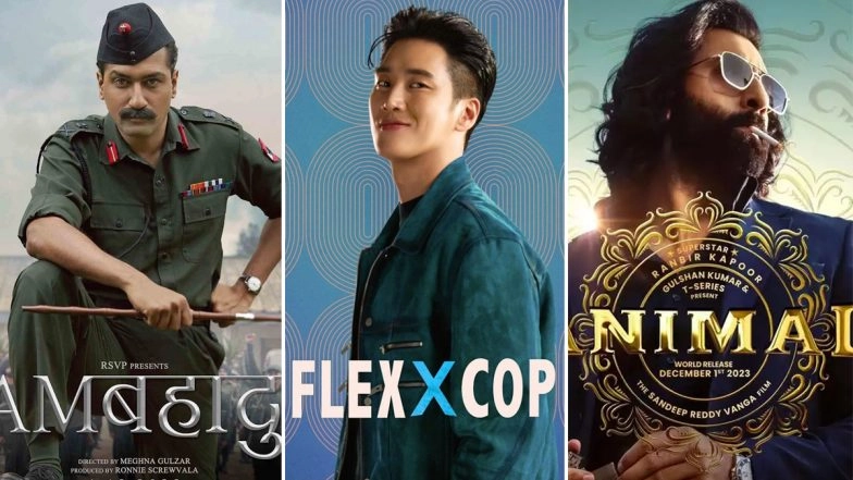 OTT Releases Of The Week: Ranbir Kapoor's Animal on Netflix, Vicky ...