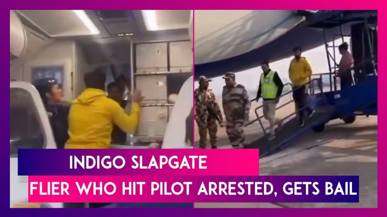 IndiGo Slapgate: Flier On Delhi-Goa Flight Who Hit Pilot After Several ...