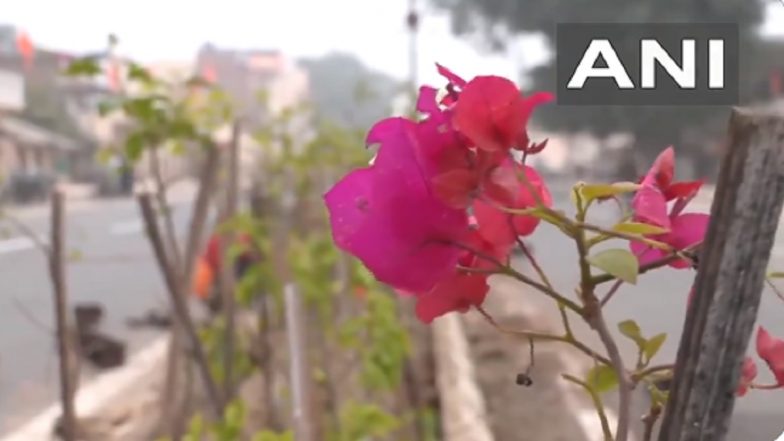 Ram Temple Consecration Ceremony: Ayodhya Development Authority Plants ...