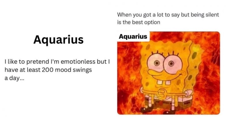 Aquarius Funny Memes and Relatable Posts Because Life's Too Short To Be ...