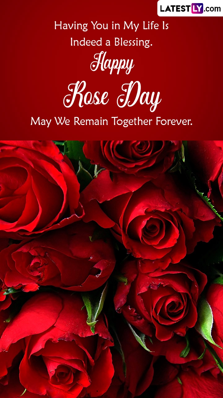 Happy Rose Day 2024 Wishes, Greetings, Images and Quotes for Your ...