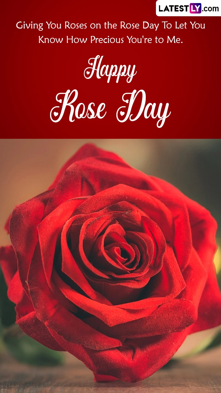 Happy Rose Day 2024 Wishes, Greetings, Images and Quotes for Your ...