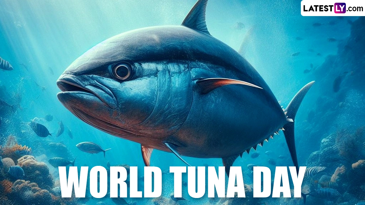 Festivals & Events News | What is World Tuna Day? Why Is This Day ...