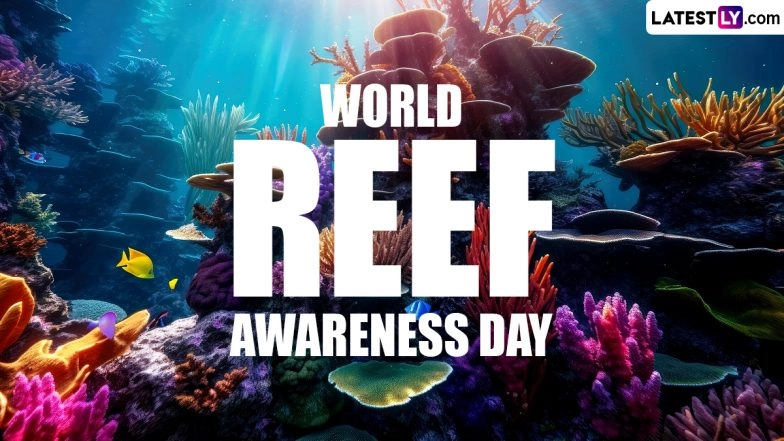 World Reef Awareness Day 2024 Date, History and Significance: All You ...