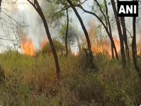 India News | Fire at Kathlour Wildlife Sanctuary in Punjab's Pathankot ...