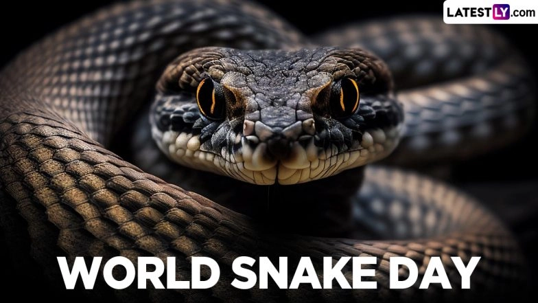 World Snake Day 2024 Date and Theme: Know the Significance of the Day ...