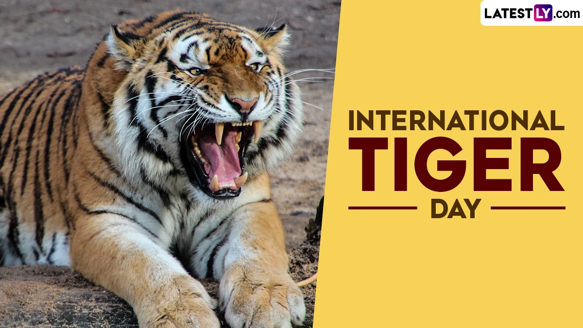 Festivals & Events News | International Tiger Day 2024: A Global ...