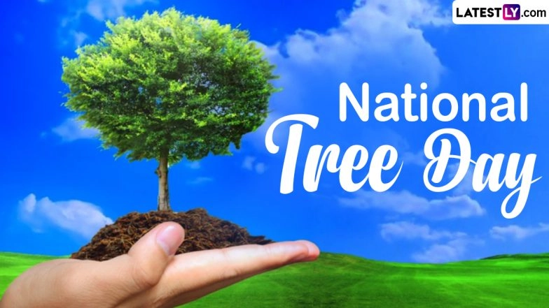 National Tree Day 2024 Date: Know History and Significance of Australia ...
