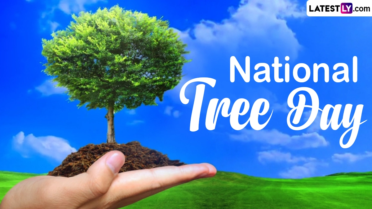 Festivals & Events News | When is National Tree Day 2024 in Australia ...