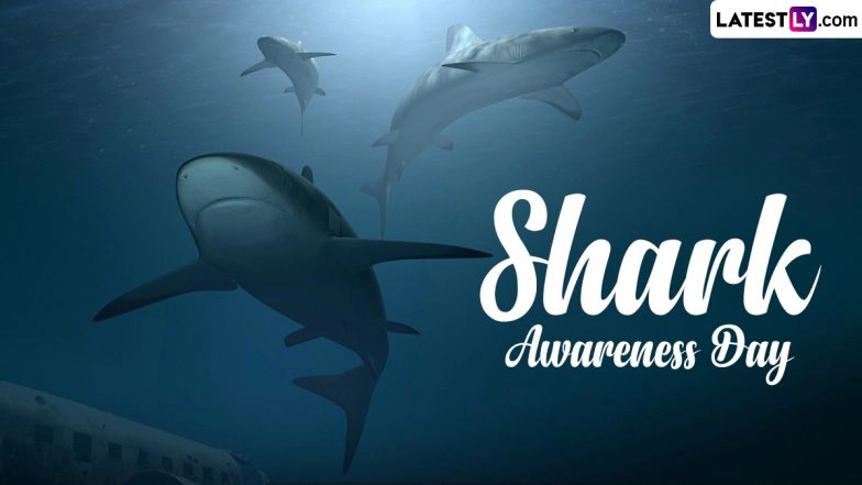Shark Awareness Day 2024 Facts: From Being Colourblind to Having ...