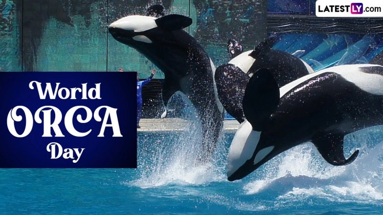 World Orca Day 2024 Date, History and Significance: All You Need To ...