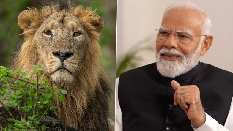 World Lion Day 2024: PM Narendra Modi Shares Stunning Pictures of Big ...