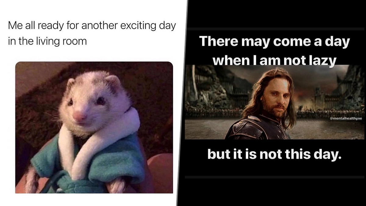 Viral News | Hilarious Lazy Memes, Viral Posts and Funny One-Liners To ...