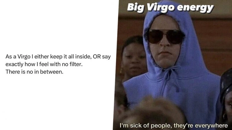 It’s Virgo Season 2024! These Virgo Funny Memes, Hilarious Jokes, ROFL ...