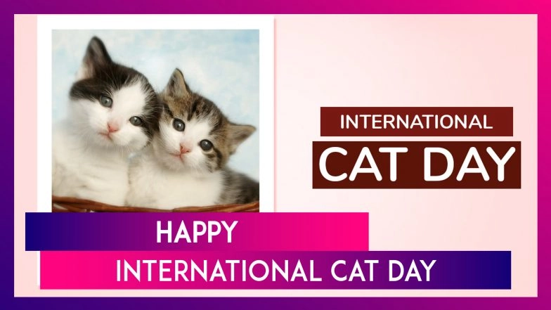 International Cat Day 2024 Quotes, Wishes, Greetings and Messages To ...