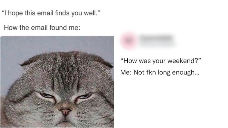 Monday Morning Funny Memes and Jokes: Share Hilarious Posts, Images and ...