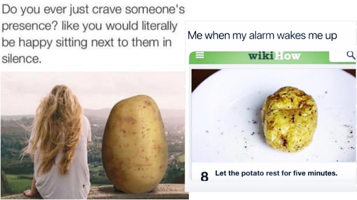 Potatoes Gonna Potate Gif