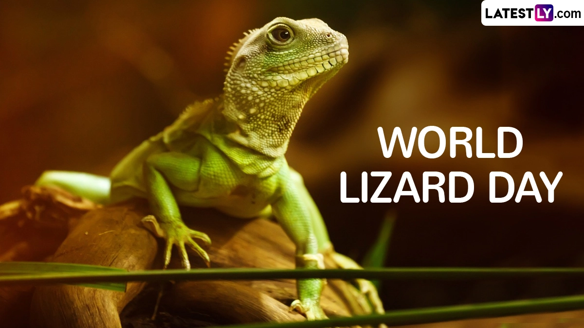 Festivals & Events News | All You Need To Know About World Lizard Day ...