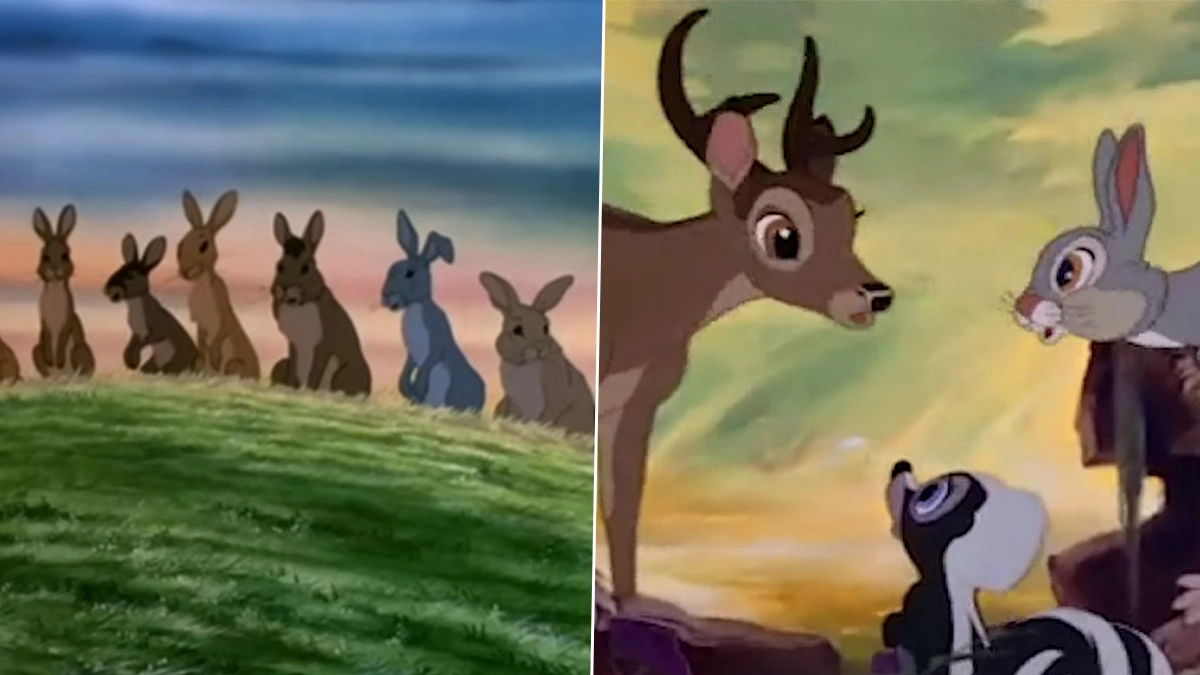 Entertainment News | Rabbit Movies To Binge Watch on International ...