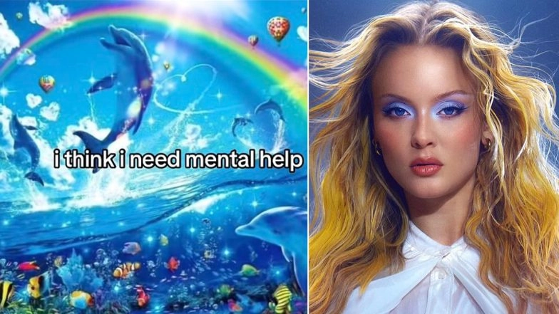 Symphony Dolphin Meme Explained: What Is Rainbow Dolphin Meme? Is Zara ...