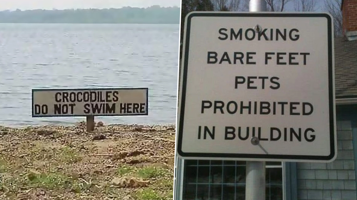 National Grammar Day Memes