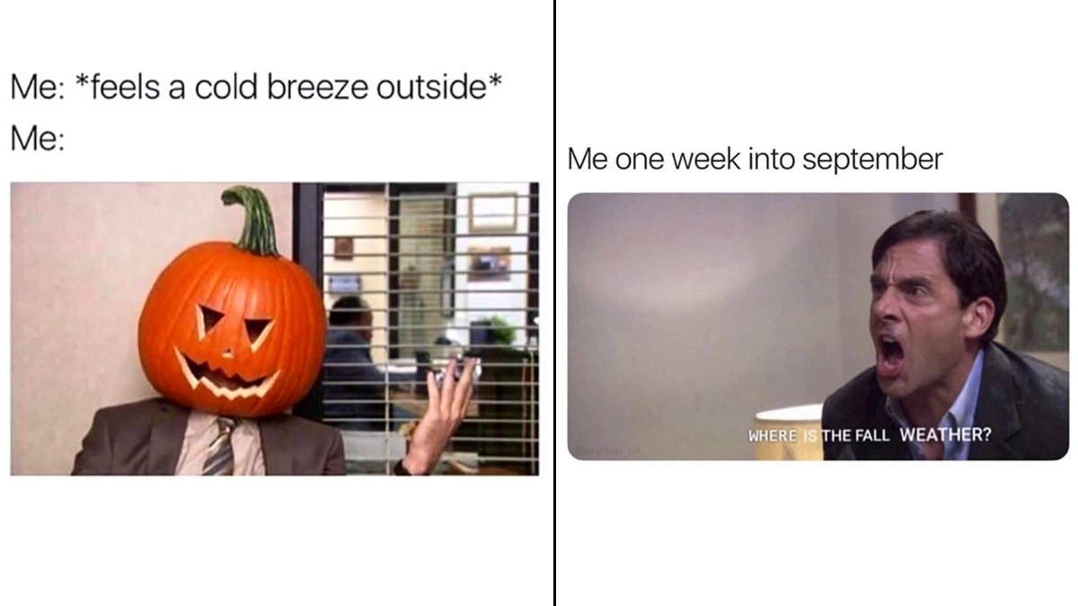 Pumpkin Fall Memes Fall Into Fun: The Best Memes Of The Season