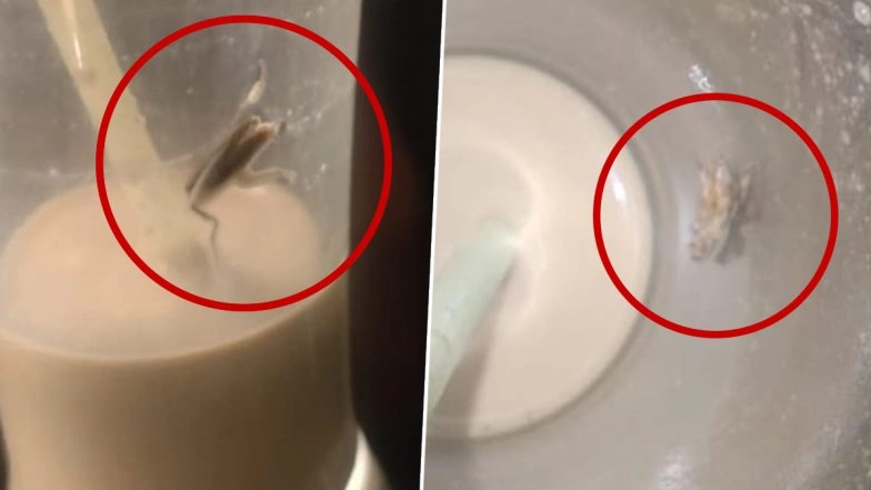 ‘Cockroach Coffee’ in Malad: Customer Finds Cockroach in Cold Coffee ...