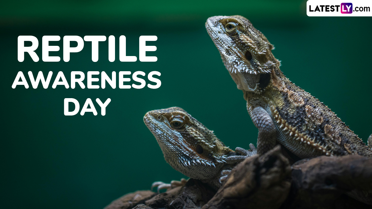 Festivals & Events News | When is National Reptile Awareness Day 2024 ...