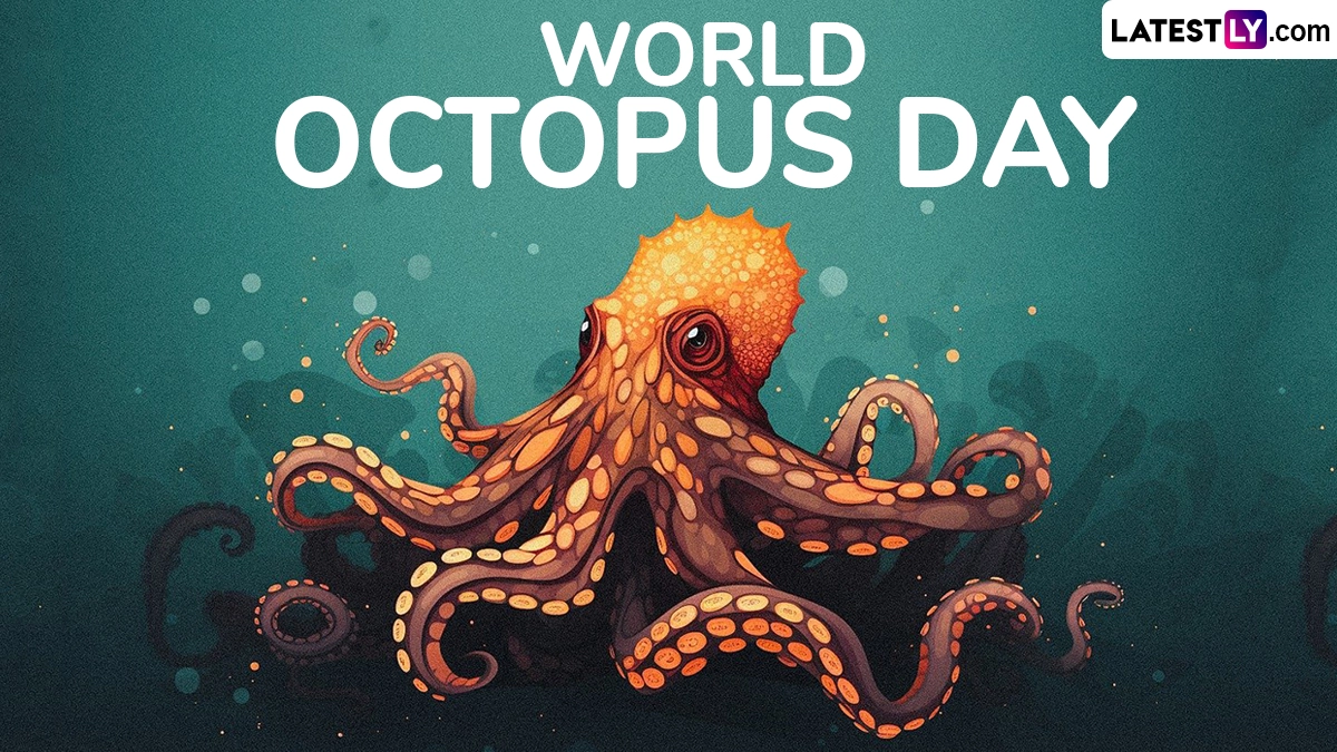Festivals & Events News | Happy World Octopus Day 2024 GIFs, Photos and ...