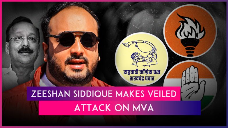 ‘Supporting Each Other Was Never in Their Nature’: Zeeshan Siddique ...